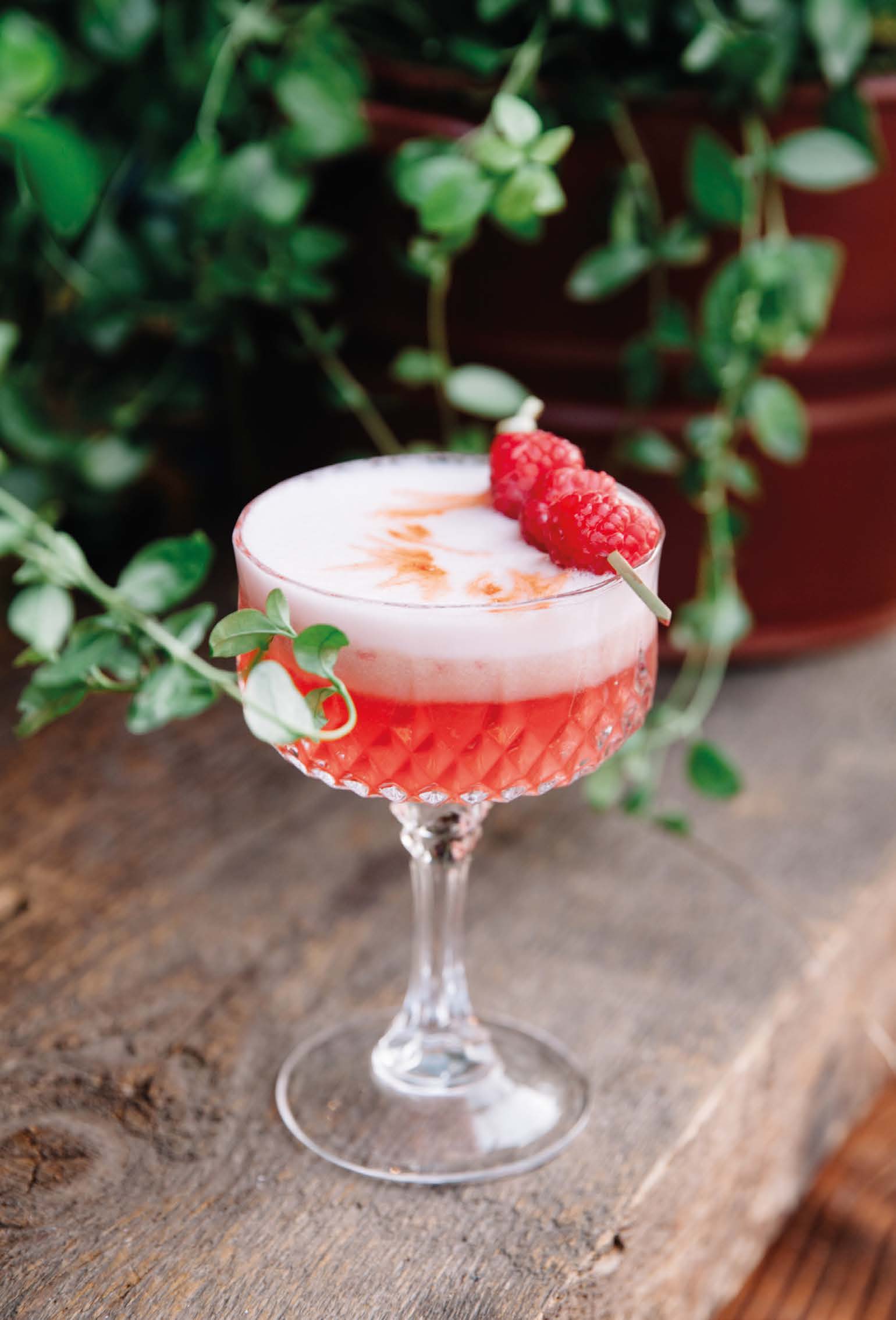 Mocktail Rose Passion Dammann - Bevanar&Dorga SA